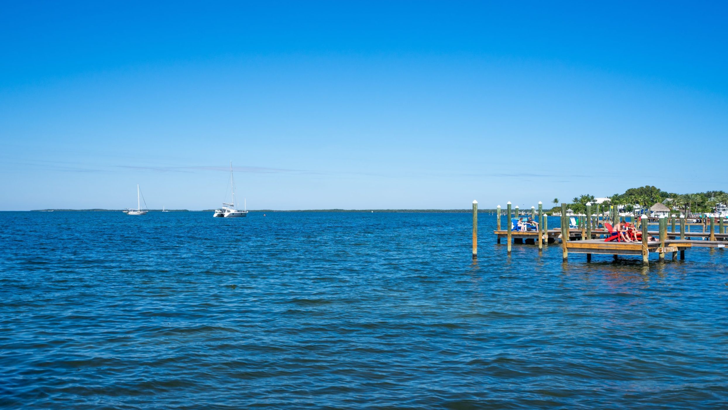 Key Largo Tours & Activities | Florida Keys Activities